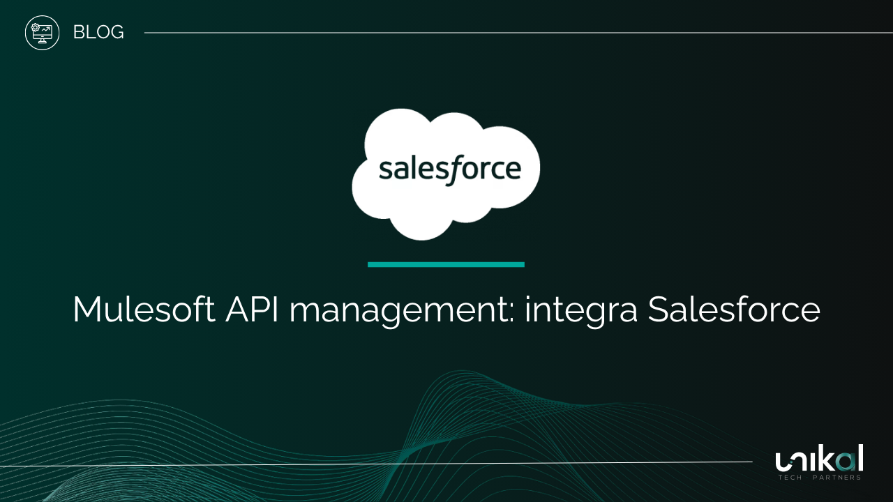 Mulesoft API management: integracion con Salesforce